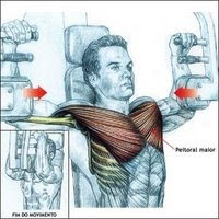 Um Corpo Perfeito: Exercicio para Peito: Voador Peitoral