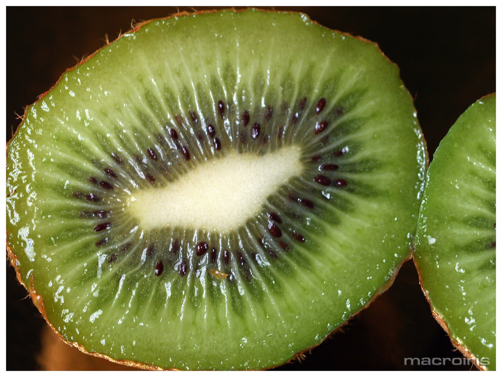 macroiris: Actinidia chinensis