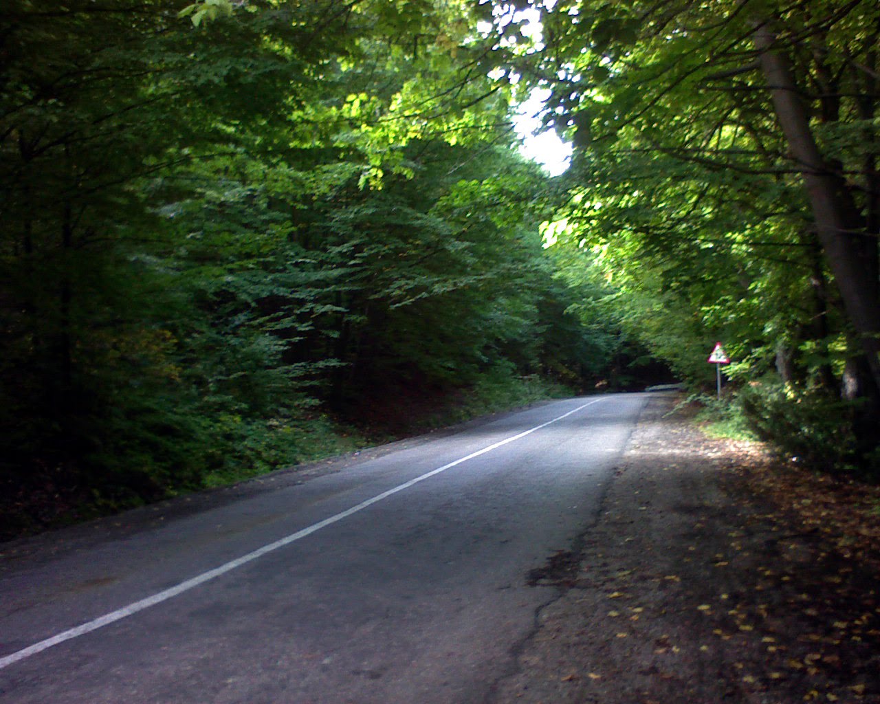 Fotografie - Excursii: Zona de agrement lac Baraj - Firiza, Maramures