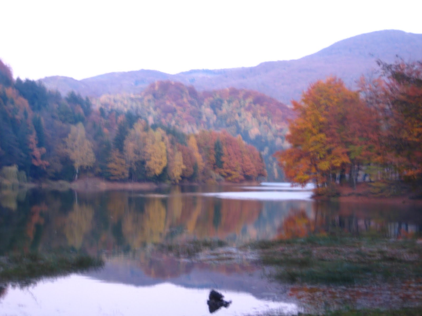 Fotografie - Excursii: Zona de agrement lac Baraj - Firiza, Maramures