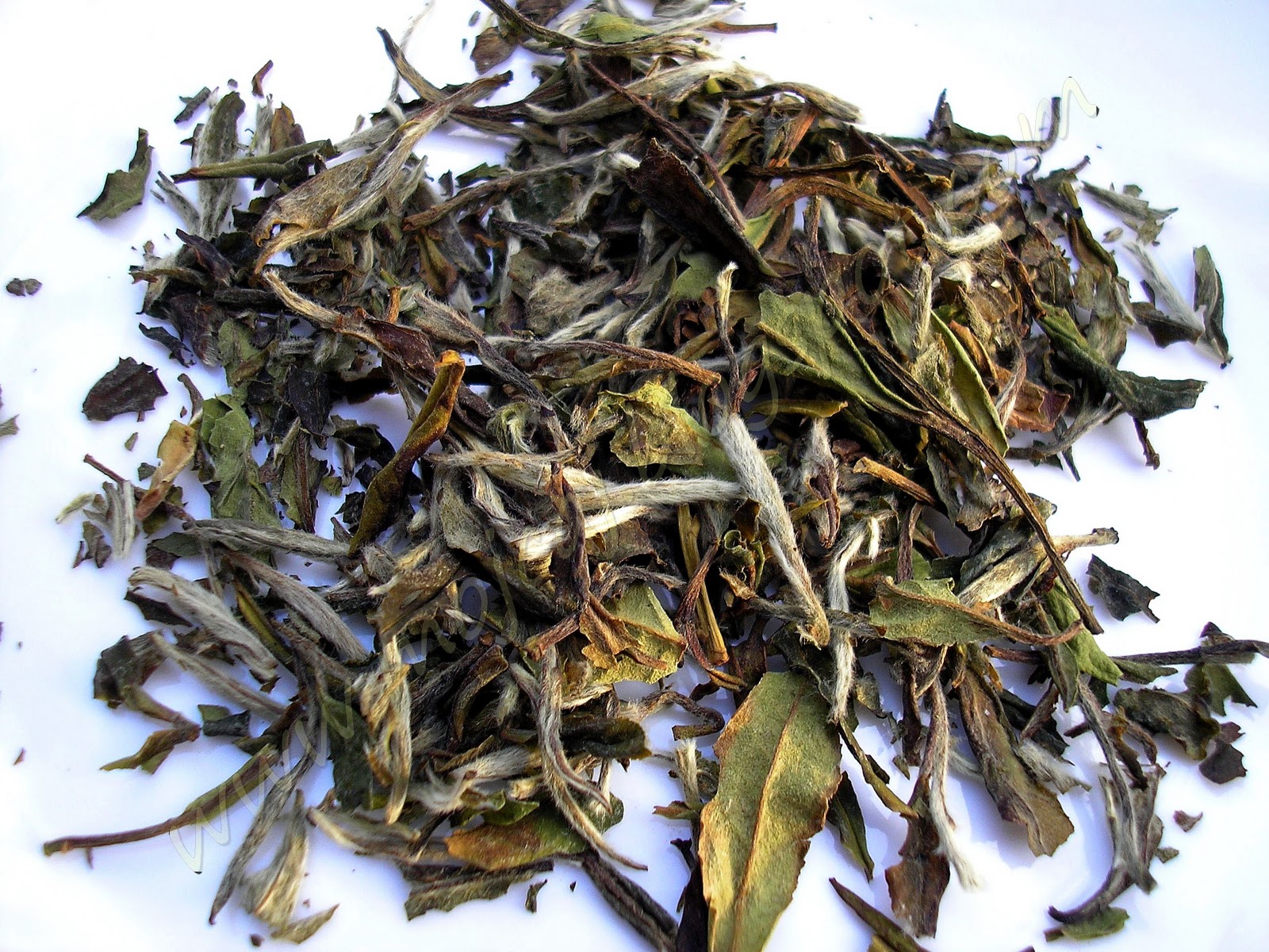 môj čaj: Pai Mu Tan