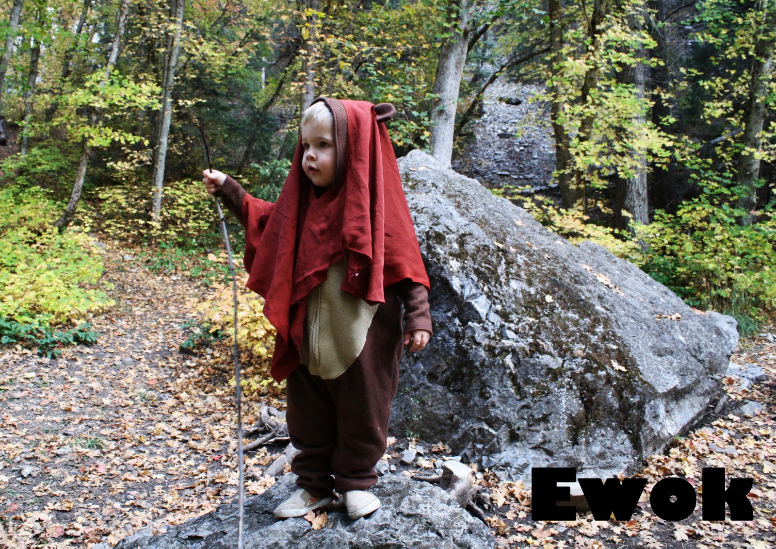 Running With Scissors: Halloween Costume: Ewok