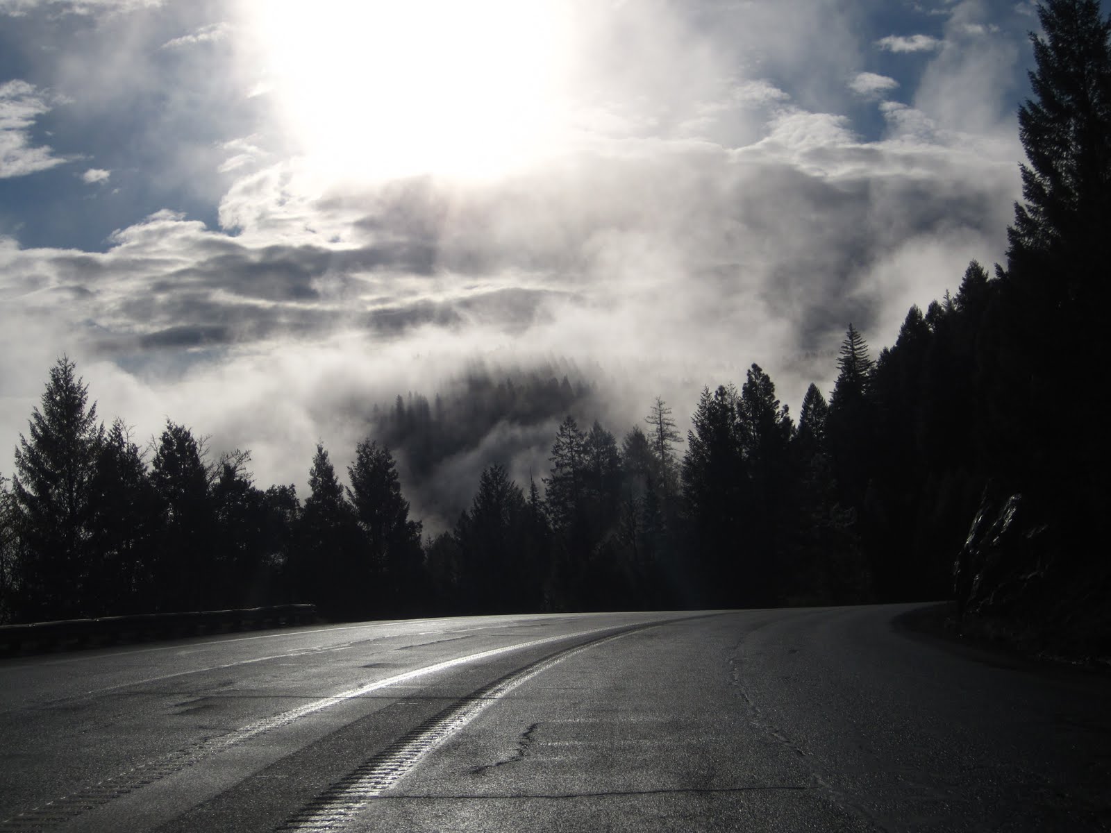 Unemployed In A Small Town Fabulously Foggy Hills