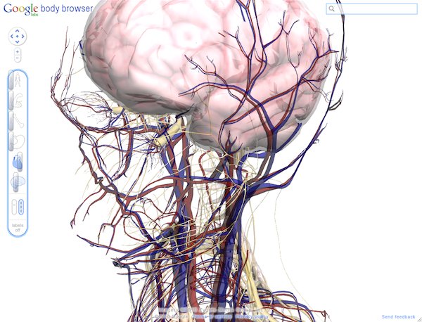 ITI en Bonzi: Recursos Online: Estudiar anatomía con Google Body Browser