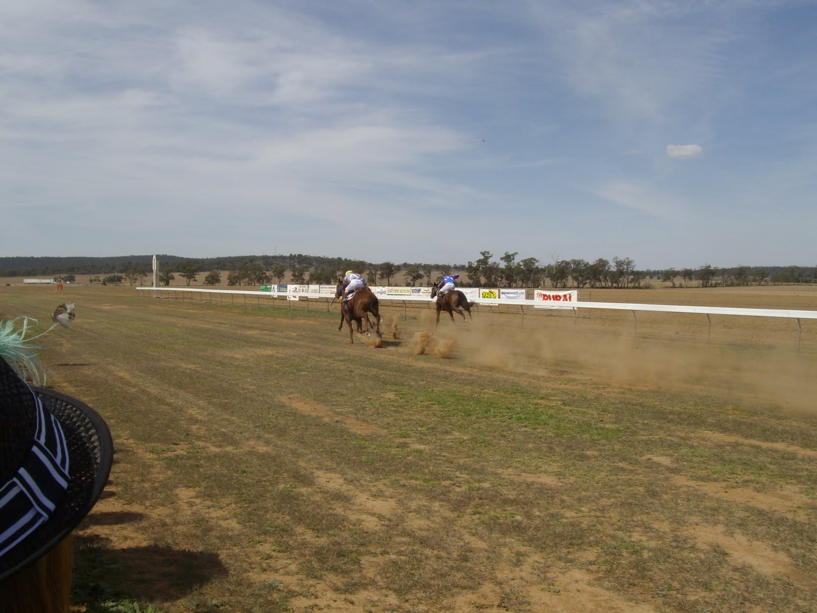 Adventures with the Silver Bullet: Ardlethan