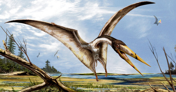 New Pterosaur Discovered by Dublin Scientist