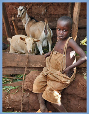 Rwanda Colors: A Pair of Goats