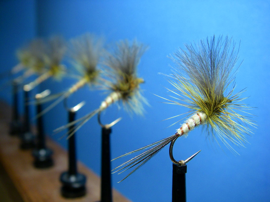 Mick's Fly Fishing Diary: March 2010