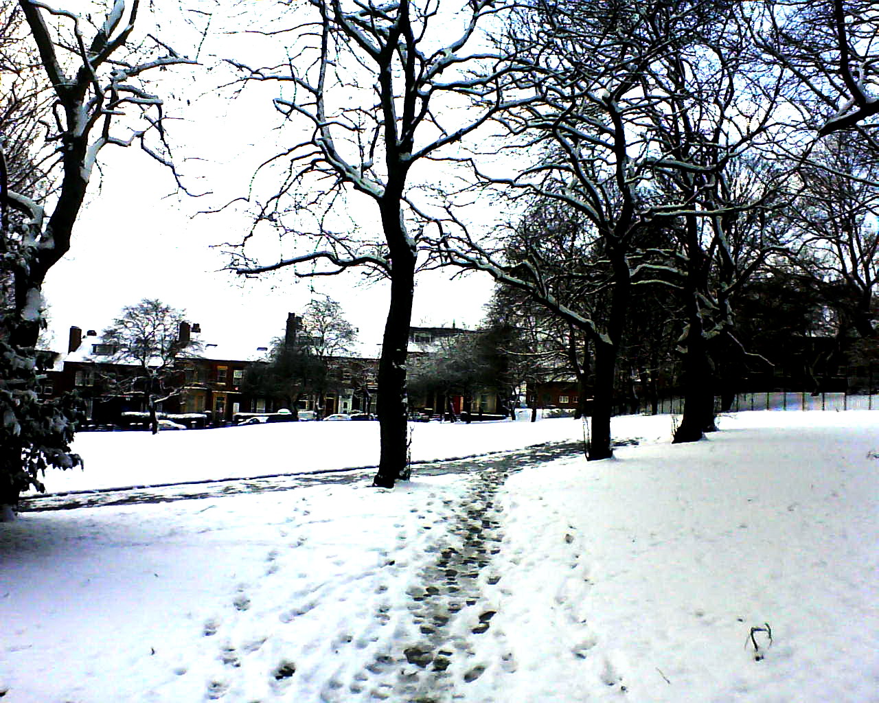 SALJI DI MALAYSIA!!!!!!!