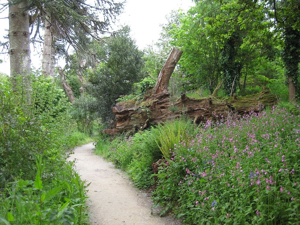 The Garden Wanderer: The Lost Gardens of Heligan, UK