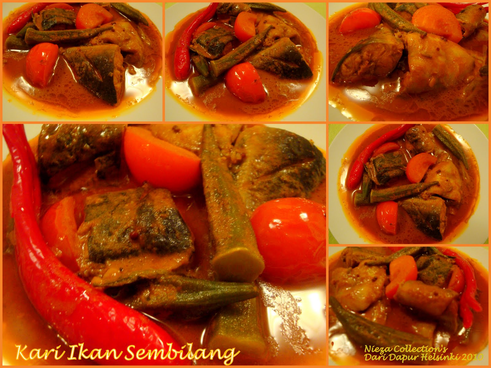 Our Journey Begins: Kari Ikan Sembilang