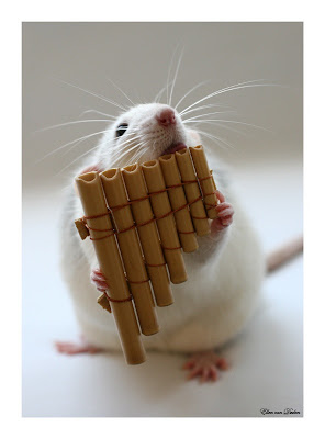 Ultimate Free Desktop Wallpaper Gallery, Utimate Desktop Wallpaper ...