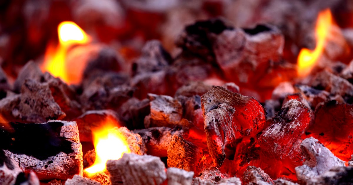 INVESTURA HOLÍSTICA: BRASAS