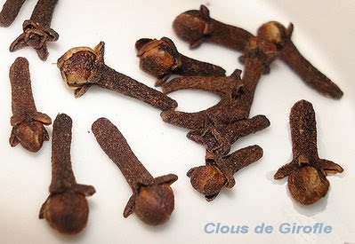 GIROFLIER-GIROFLE-Syzygium aromaticum L.-PHYTOTHERAPIE-HOMEOPATHIE ...