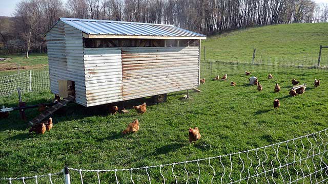 Lawrenceville Little Flea: Green Circle Farm's List