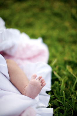 Pics and Kicks: Tanuvasa Family: Laie Family Portraits.