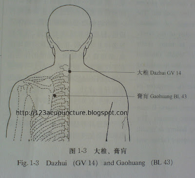 123 Acupuncture-Moxibustion Therapies