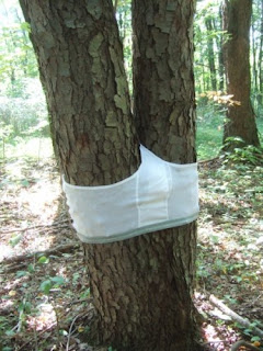 Getting Crafty: Look at this!