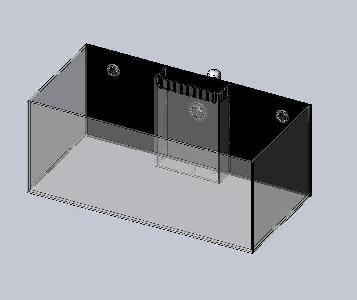 Ross' Reef: Overflow system