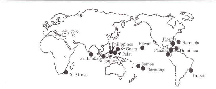 The Echinoblog: "The Most Common brittle star in the world"?? The ...