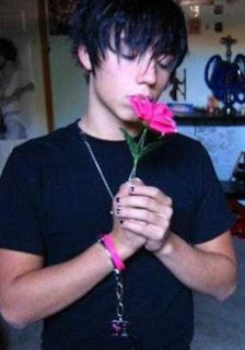 REVISTA AL DIA - Cúcuta, Colombia: EMOS: FILOSOFIA O IMITACION.