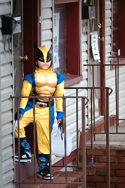 Michal Napartowicz Photography: Waspman