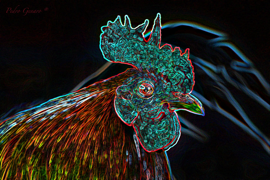 Café Ag3: noviembre 2009