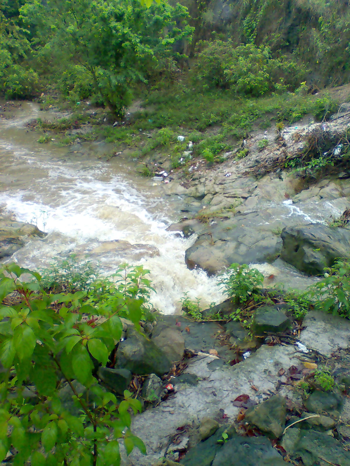 COMUNICANDO A PUEBLILLO Y EL LLANO PAPANTECO: FOTOS DE PUEBLILLO Y EL ...