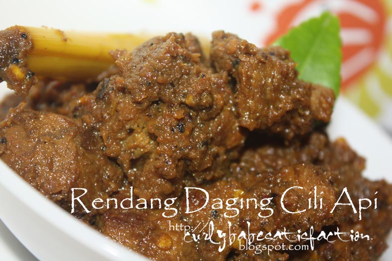 Curlybabe's Satisfaction: Rendang Daging Cili Api & Lontong Kering