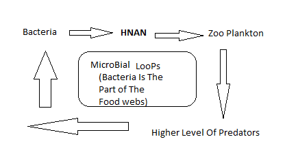 PerfectSlaveS: Marine Microbiology~