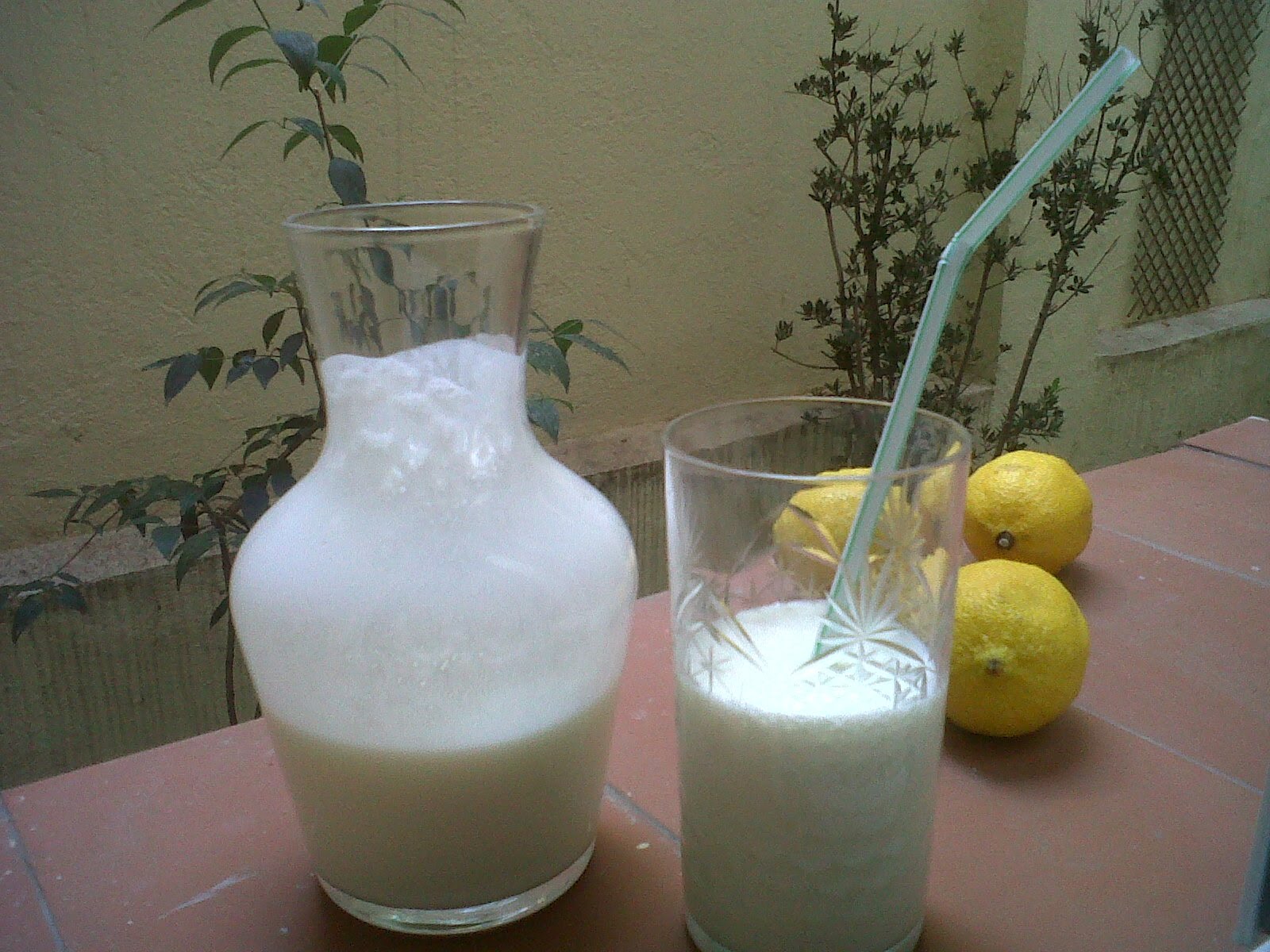 En la mesa con Montalbano: Crema de limón con leche condensada