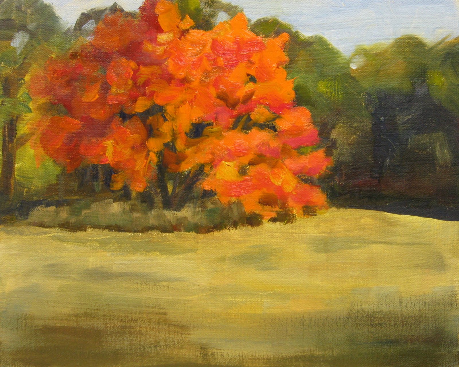 Marina's Painting a Day: Red Maple