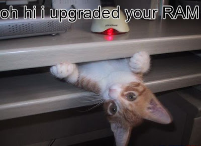 Funny Cat Pictures: Funny Cats # 27, 28 & 29: Tech Support Cats