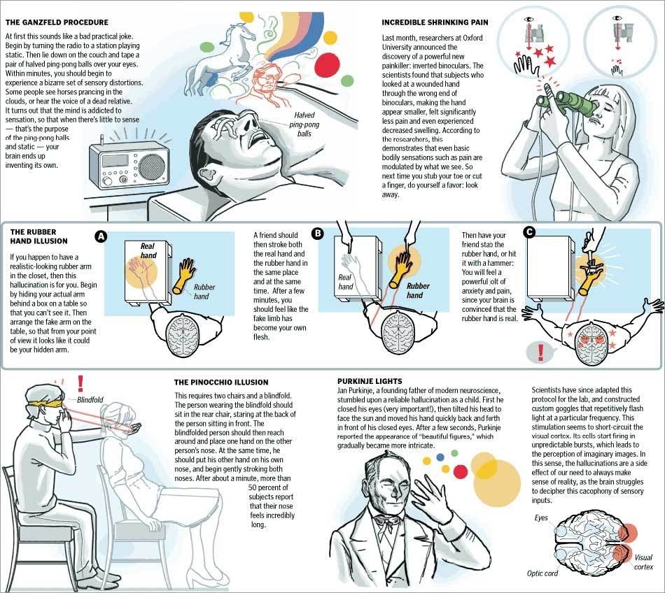 All Graphical: Neurology & Psychology Infographics