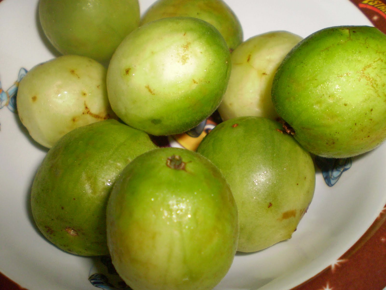 Drika Curiosa: SUCO DE UMBU