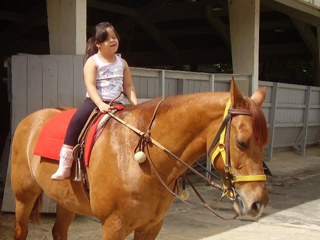 Acessibilidade - Esportes Adaptados: Equitar - hipoterapia e equitação ...