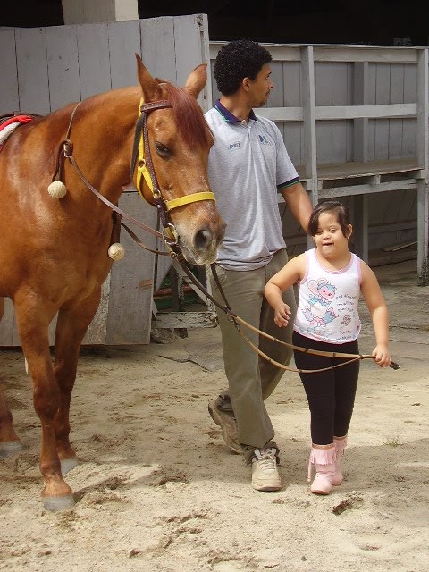 Acessibilidade - Esportes Adaptados: Equitar - hipoterapia e equitação ...