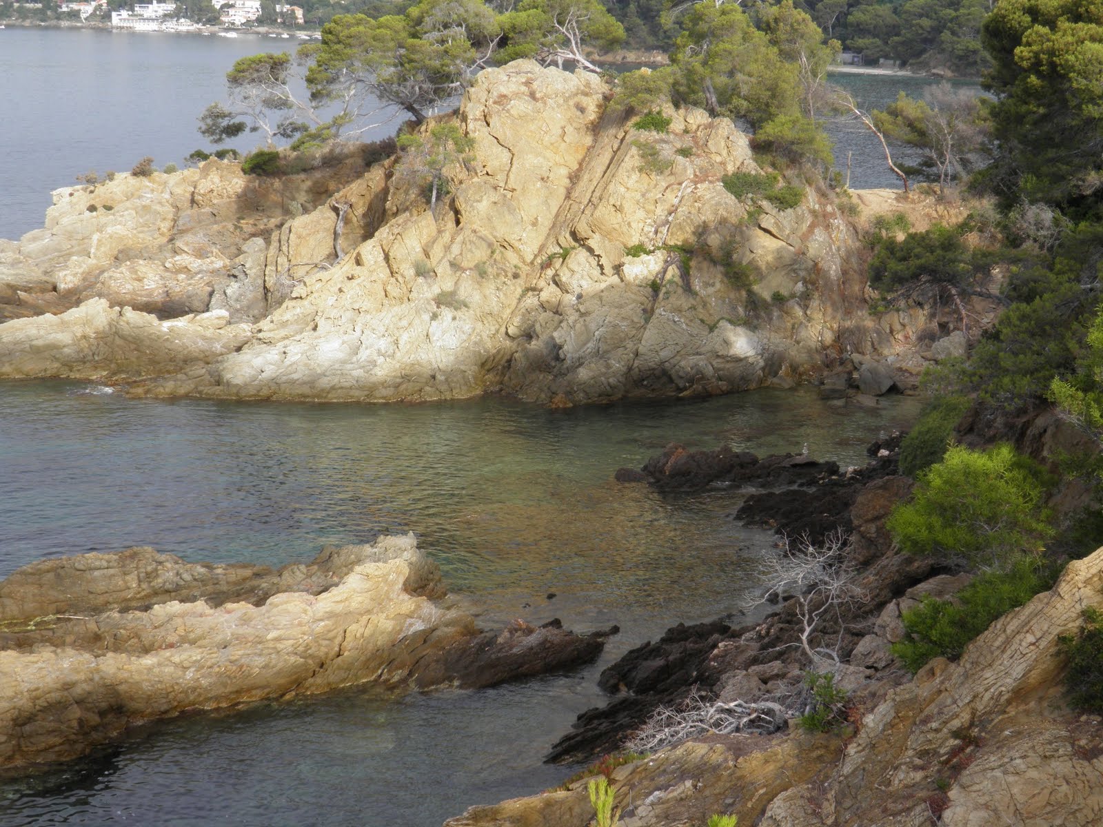 Pointe du Layet: Le layet N°5