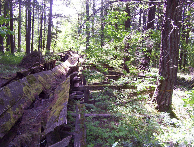 The Broughton Lumber Flume