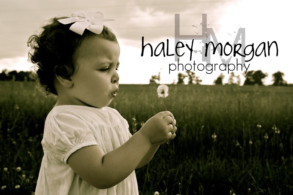 Haley Morgan Photography