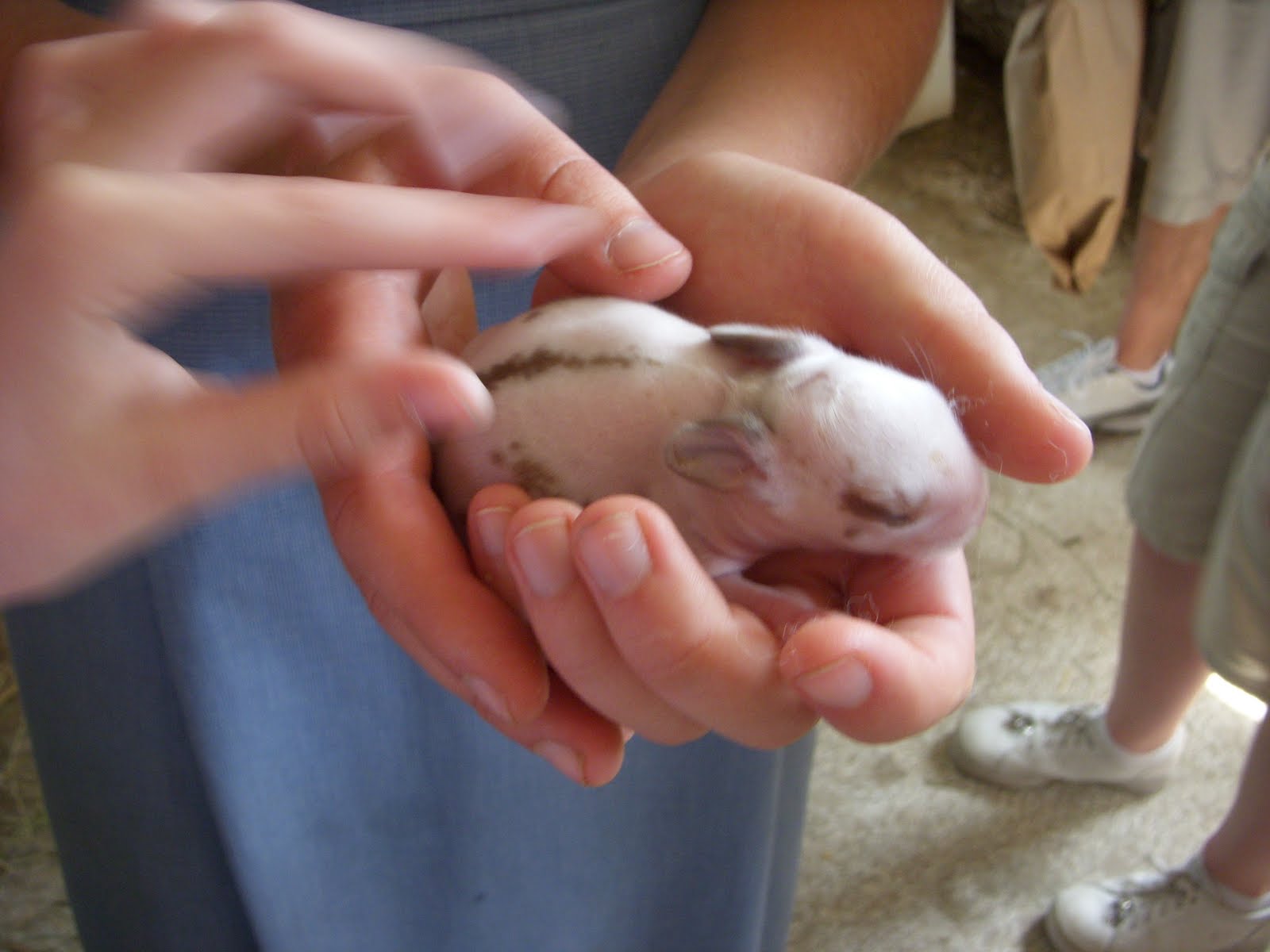 RichFam: A Very Amish Day