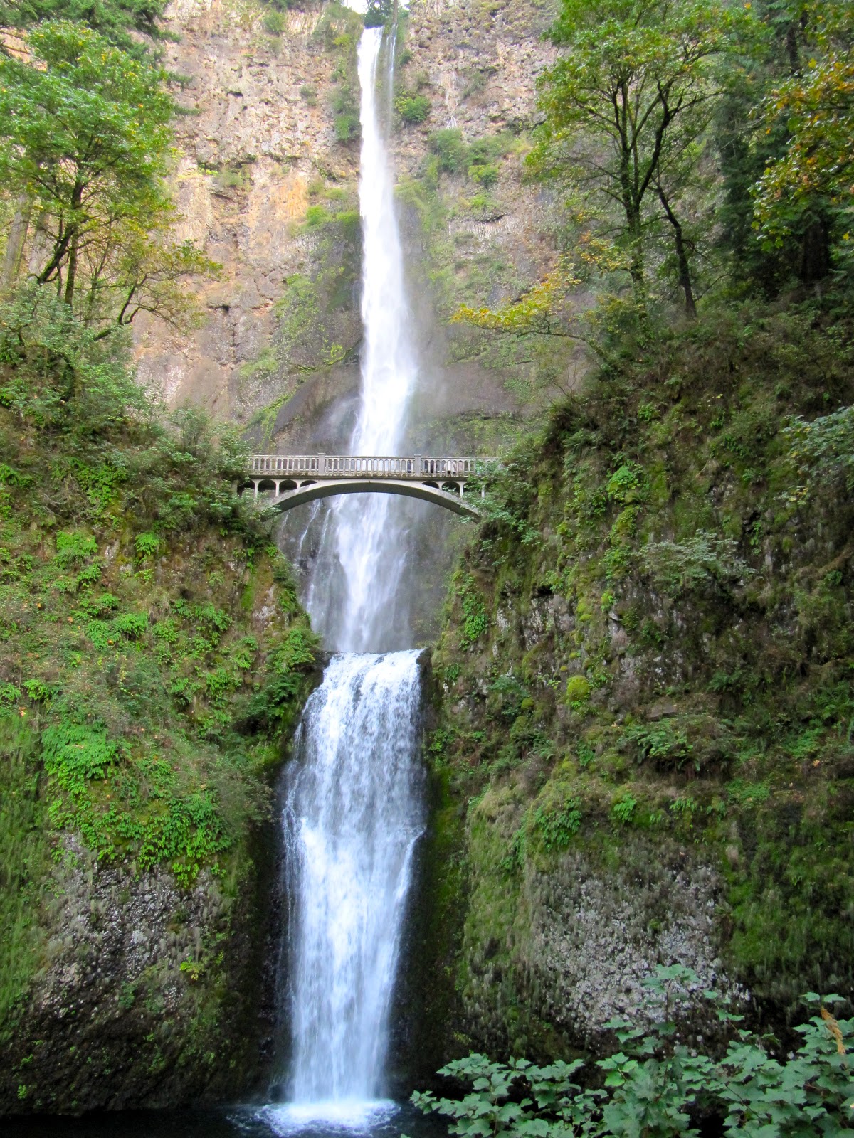 Teresa Kasner: Multnomah Falls in the Columbia River Gorge