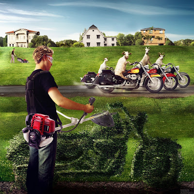 Creative Advertisement: Creative Advertising by Fiero Animals