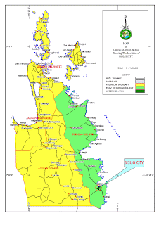 Bisligmaps: Bislig Maps