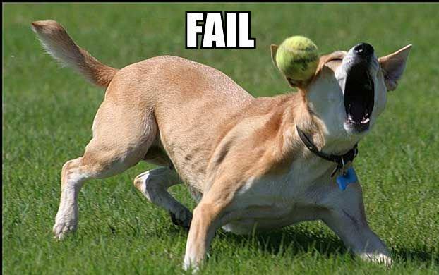 Curious, Funny Photos / Pictures: Fail pictures - 45 Pics