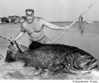 My Funny: Amazing Catch! - Big Fish Caught By Fisherman | Pictures