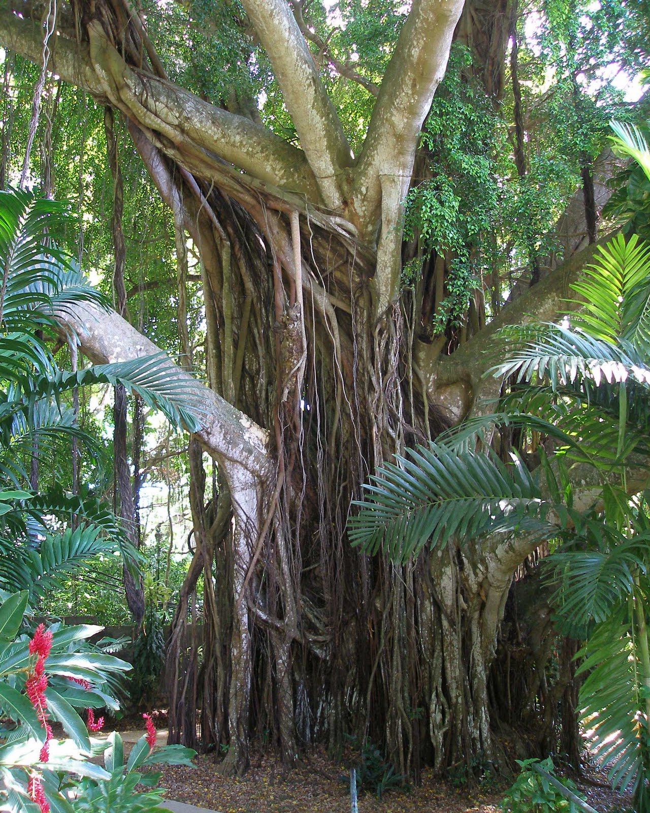 Live Creatively Blog Archives: A First Time for Everything