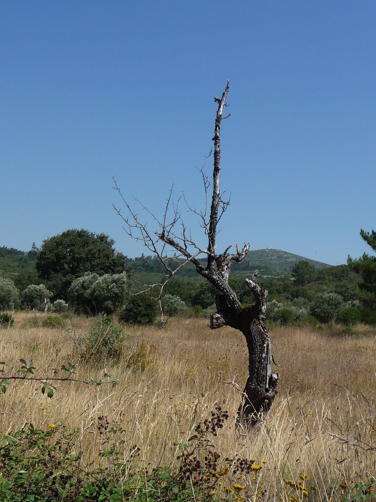 ALCARIA - ALDEIA NA SERRA: Pontos de Vista - Alcaria