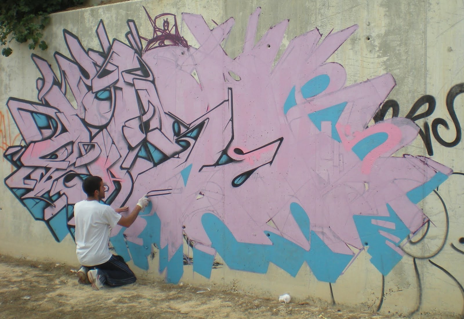 LazonadelosGraffitis...: Entrevista + Exposición TASER (ALICANTE)