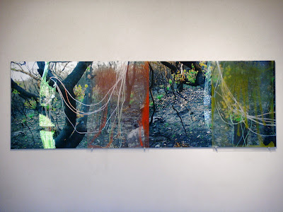 henry street designs: Janet Laurence - my favourite artist